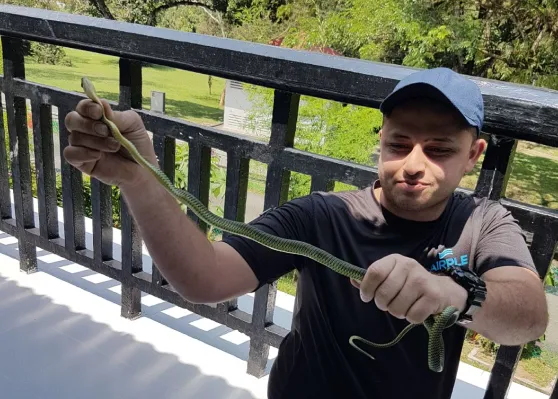 Aircon Ledge Wash in Singapore: Your Ultimate Guide to a Safe and Clean ...